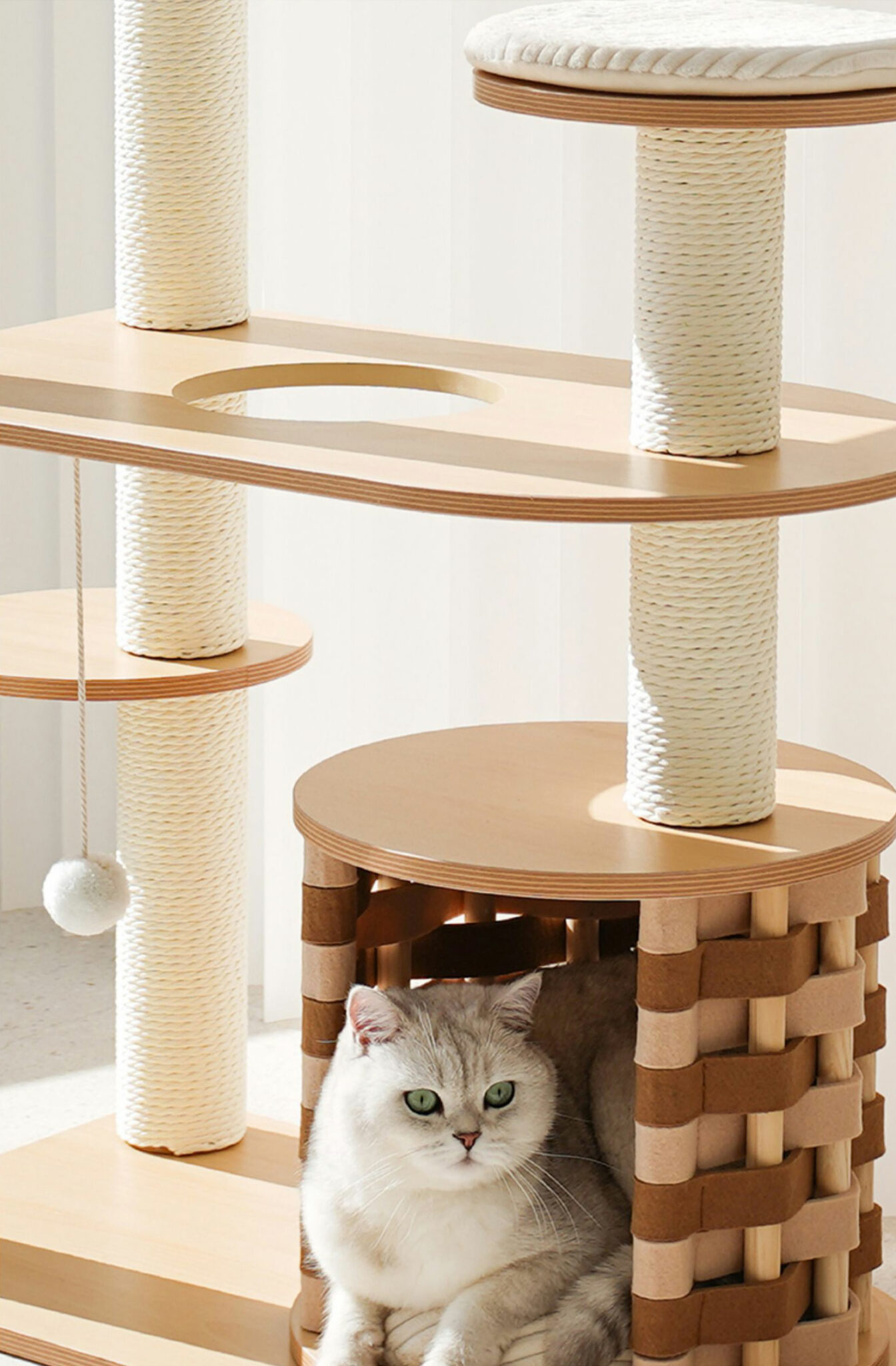 Shipping Choose an option Economy Shipping (4-6 weeks) In Stock In US ...