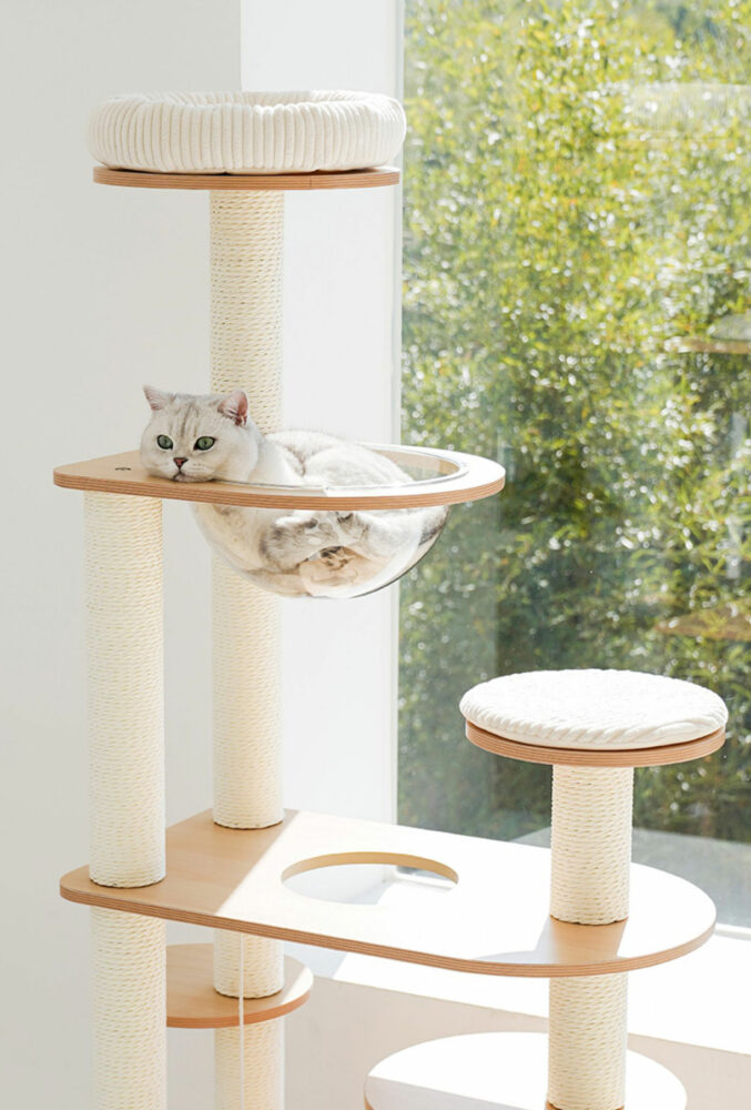 Shipping Choose an option Economy Shipping (4-6 weeks) In Stock In US ...