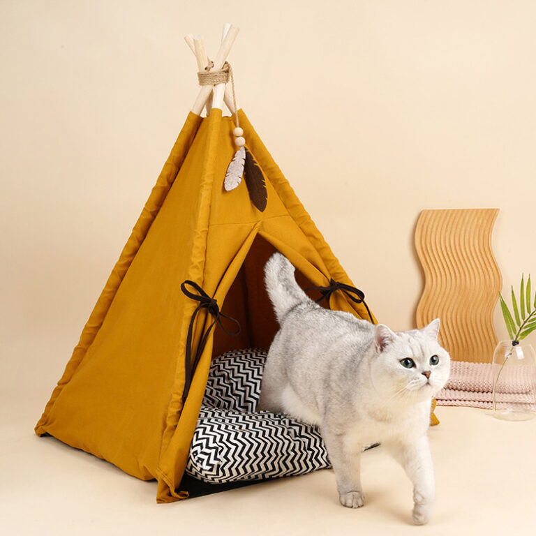 Shipping Choose an option Economy Shipping (4-6 weeks) In Stock In US ...