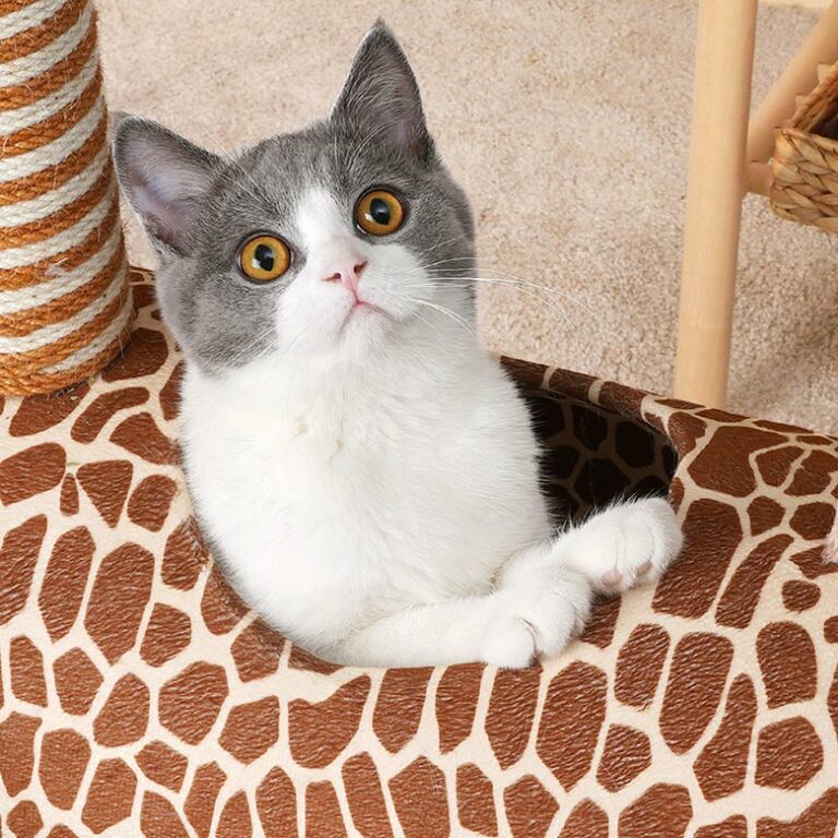 Shipping Choose an option Economy Shipping (4-6 weeks) In Stock In US ...