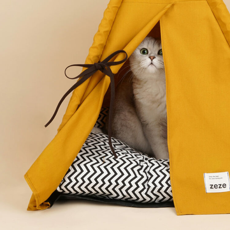 Shipping Choose an option Economy Shipping (4-6 weeks) In Stock In US ...