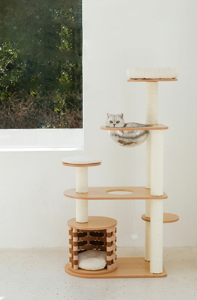 Shipping Choose an option Economy Shipping (4-6 weeks) In Stock In US ...