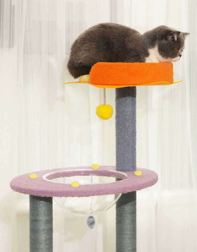 Shipping Choose an option Economy Shipping (4-6 weeks) In Stock In US ...