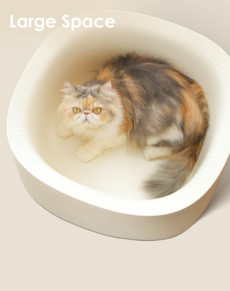 Shipping Choose an option Economy Shipping (4-6 weeks) In Stock In US ...