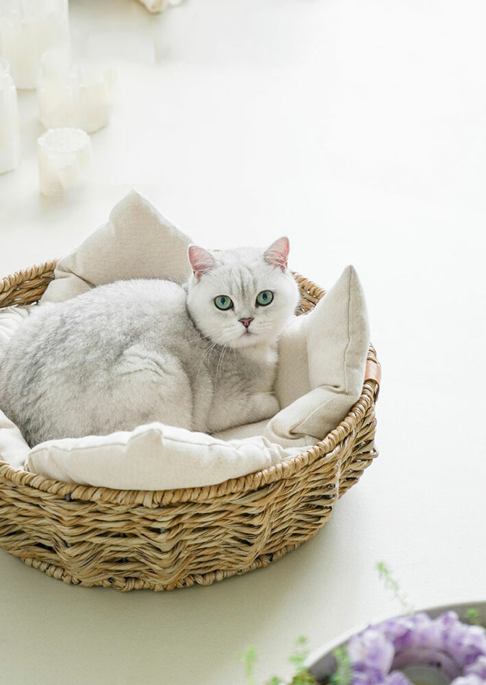 Style Choose an option Oval Round