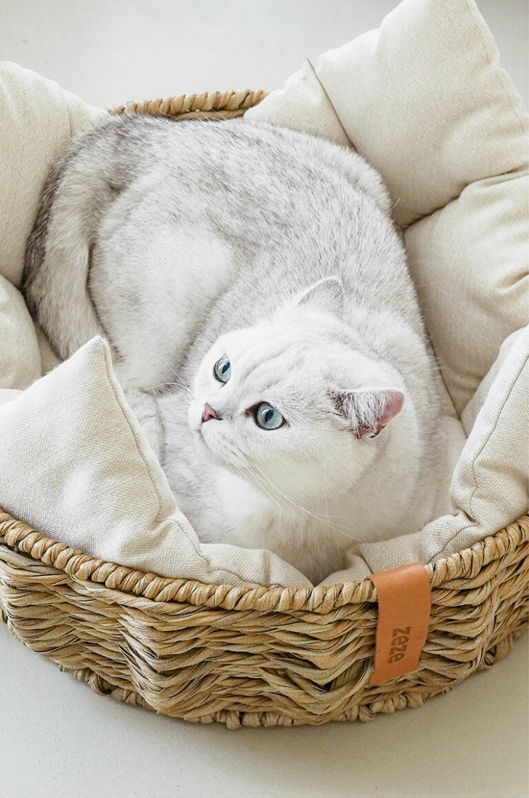 Style Choose an option Oval Round