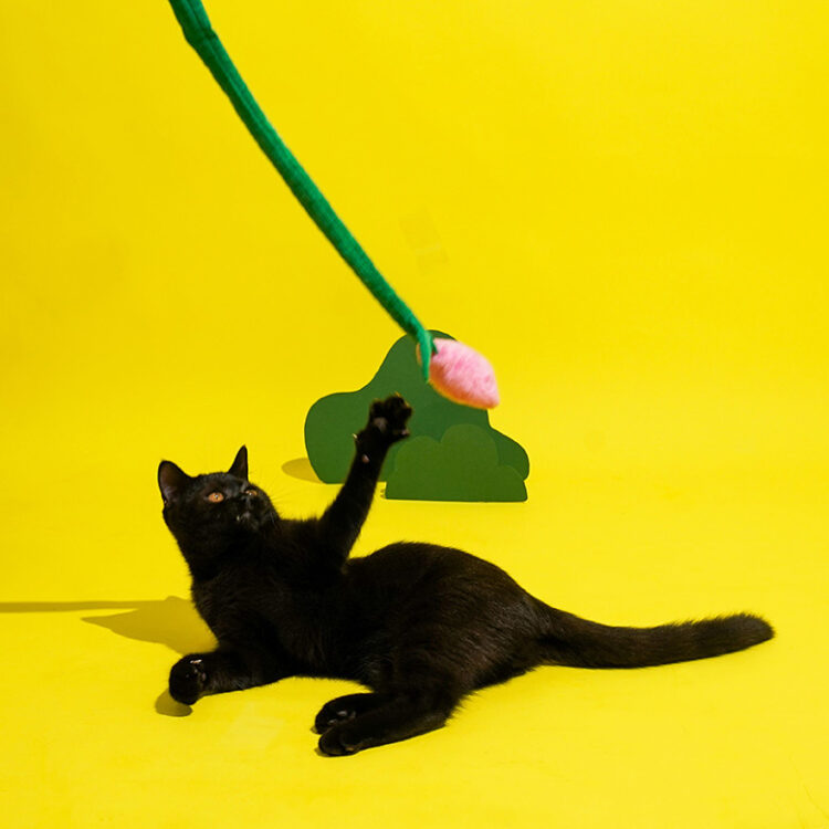 Style Choose an option Dog Tulip Worm