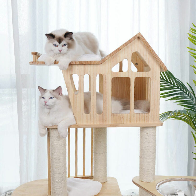 Shipping Choose an option Economy Shipping (4-6 weeks) In Stock In US ...