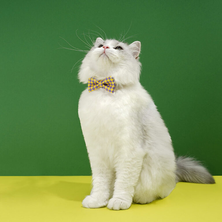 Style Choose an option Green Yellow