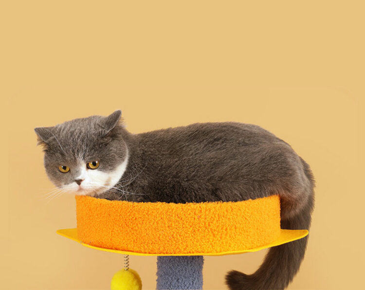 Shipping Choose an option Economy Shipping (4-6 weeks) In Stock In US ...