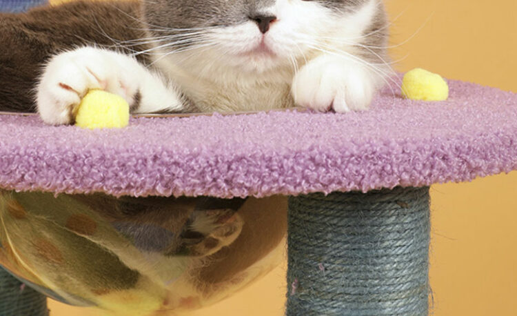 Shipping Choose an option Economy Shipping (4-6 weeks) In Stock In US ...