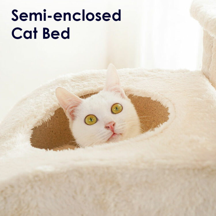 Shipping Choose an option Economy Shipping (4-6 weeks) In Stock In US ...