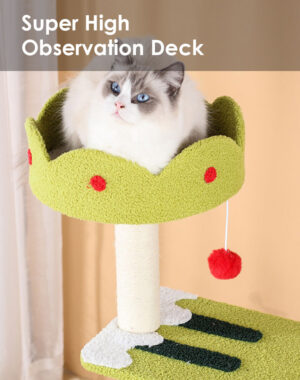 Shipping Choose an option Economy Shipping (4-6 weeks) In Stock In US ...