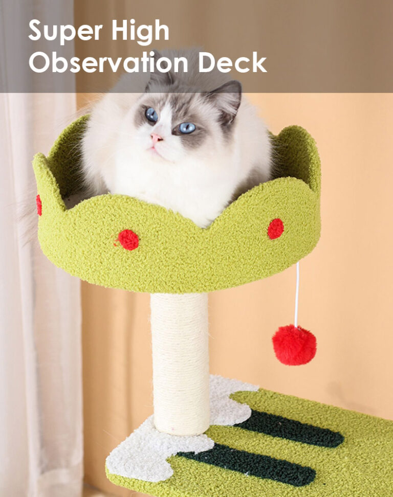 Shipping Choose an option Economy Shipping (4-6 weeks) In Stock In US ...