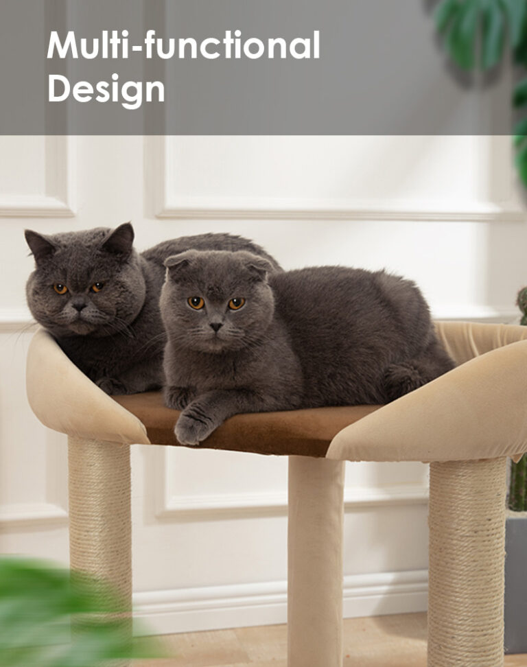 Shipping Choose an option Economy Shipping (4-6 weeks) In Stock In US ...