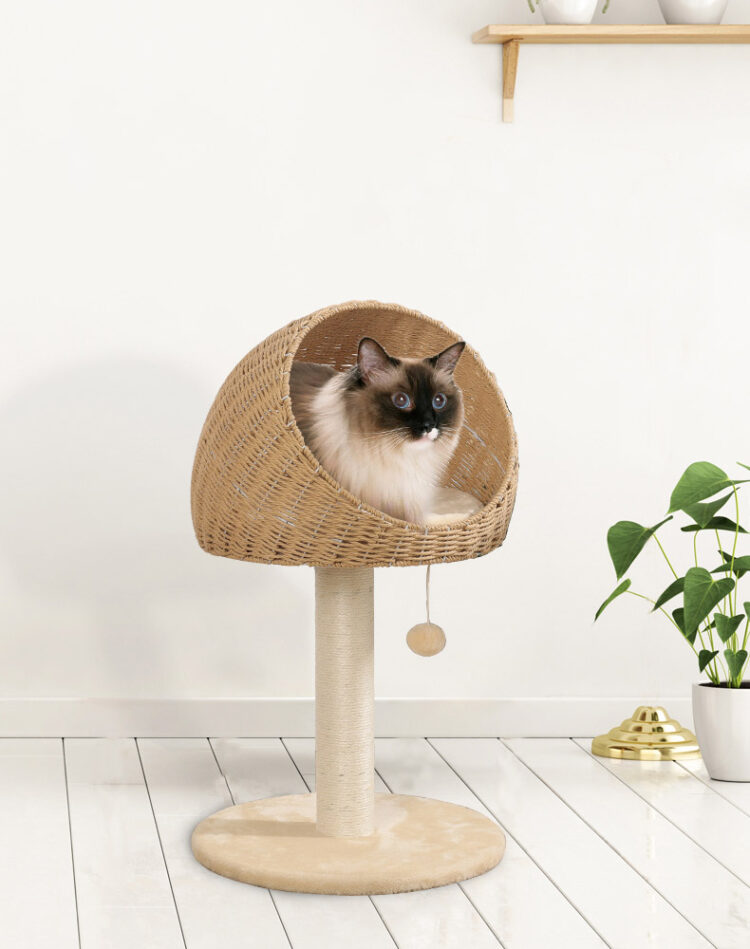 Shipping Choose an option Economy Shipping (4-6 weeks) In Stock In US ...