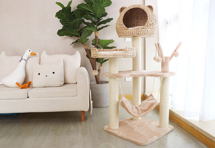 Shipping Choose an option Economy Shipping (4-6 weeks) In Stock In US ...