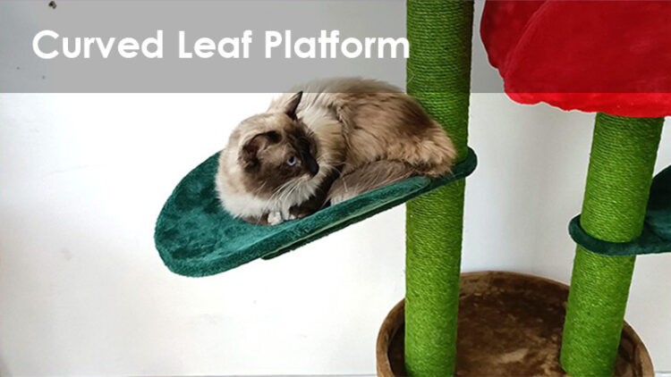 Shipping Choose an option Economy Shipping (4-6 weeks) In Stock In US ...