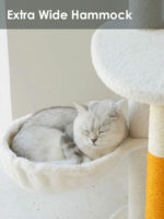 Shipping Choose an option Economy Shipping (4-6 weeks) In Stock In US ...