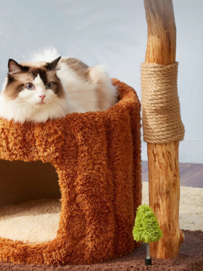 Style Choose an option A B C D